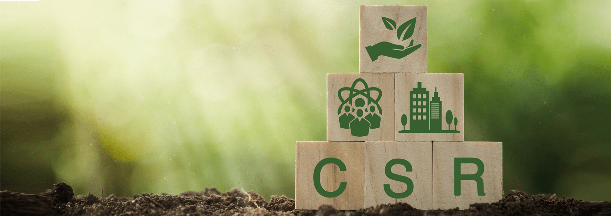 CSR - RDA Ventures LLP